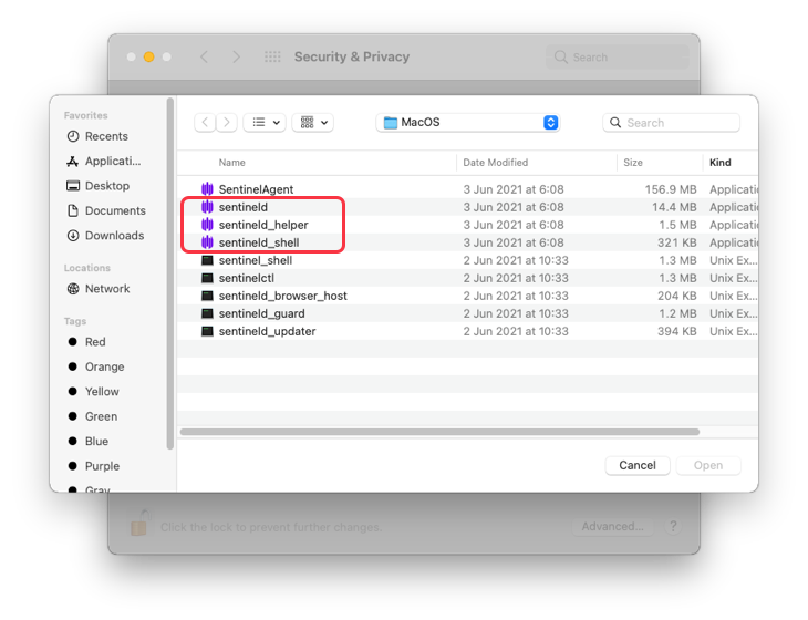 SEM - SentinelOne | Authorizing MacOS Full Disk Access for SentinelOne